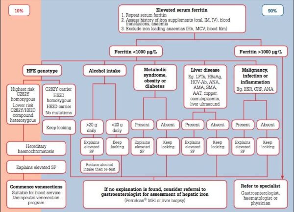 » Ferritin Algorithm